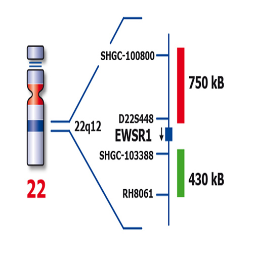 EWSR1 (22q12) Break – XL for BOND - Sondas ISH - Patología molecular