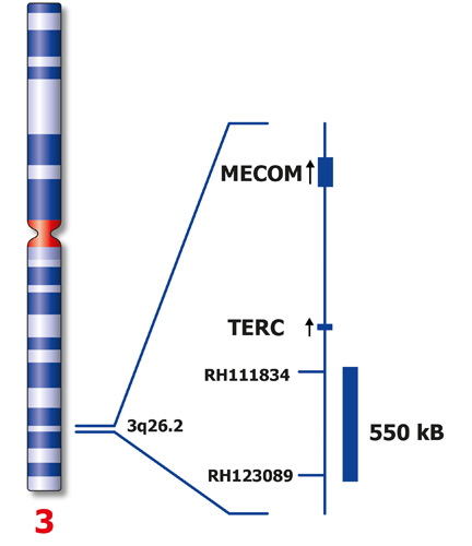 MECOM (3q26) - ISH Probes - Molecular Pathology