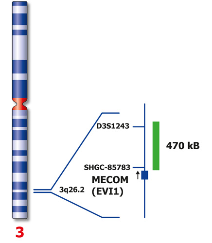 MECOM (3q26) - ISH Probes - Molecular Pathology