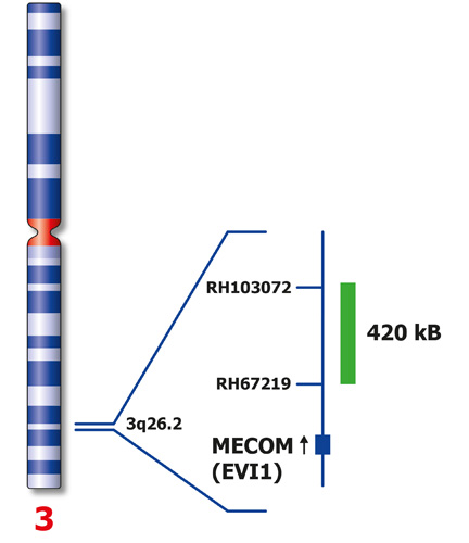 MECOM (3q26) - ISH Probes - Molecular Pathology