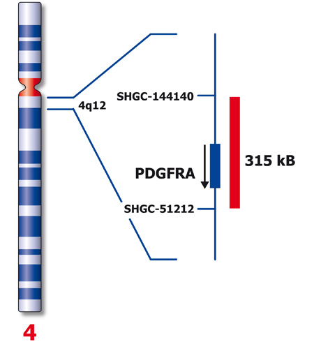 PDGFRA (4q12) - ISH Probes - Molecular Pathology