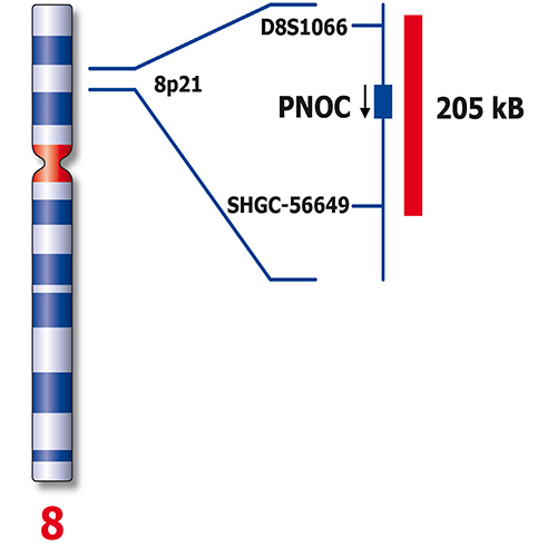 IVD 1q21/8p21 - ISH Probes - Molecular Pathology
